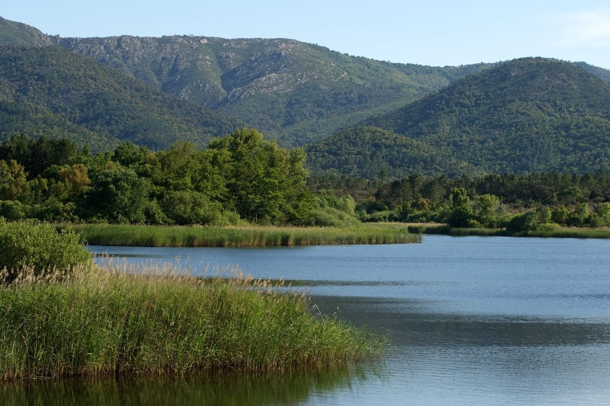 Quel est le point P à Cannet des Maures et que faut-il savoir